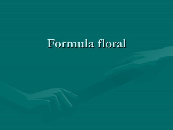 Floral formulas and diagrams | PPT | Flower Shopping | Shopping