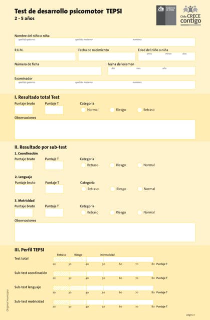 tepsi-protocolo-y-laminas, formato para imprimir | PDF