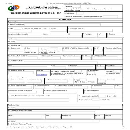 Formulario cat atual | PDF