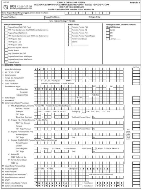 Bpjs kesehatan-formulir-registrasi-perusahaan | PDF