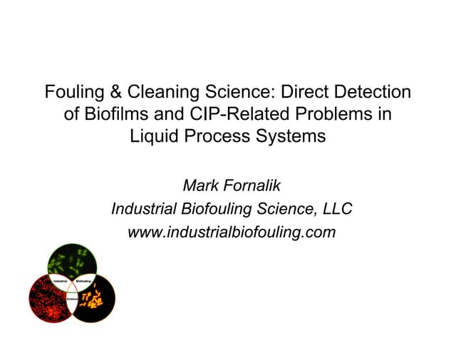 Flushing cleaning procedure | PDF