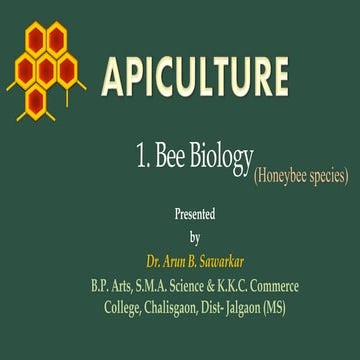 Apiculture: Honeybee Species | PPT