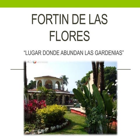 Veracruz Fortin De Las Flores Pptx