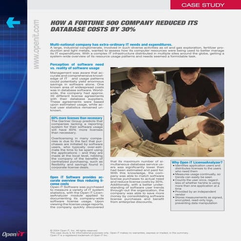 Fortune 500 Success Story | PDF | Databases | Computer Software and ...