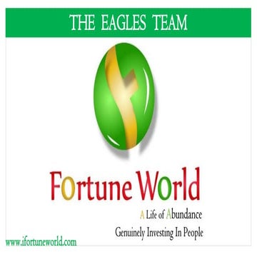 Fortune World (USD) | PDF