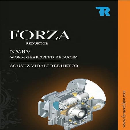 Forza Reduktor | PDF