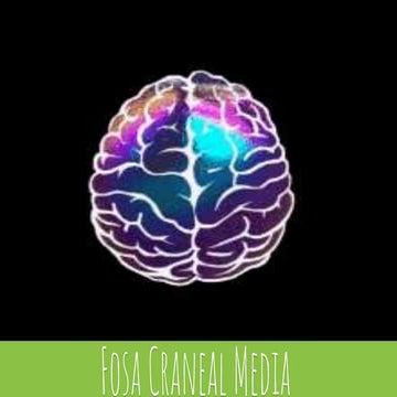 Fosa craneal media | PPTX