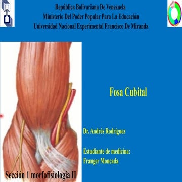 fosa cubital del cuerpo humano en anatomia | PPTX