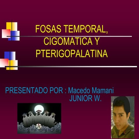 ANATOMIA - Region Cigomatica | PDF