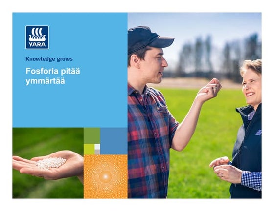 Pellolla fosfori punaisella? | PPTX