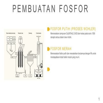 Fosforus | PPTX