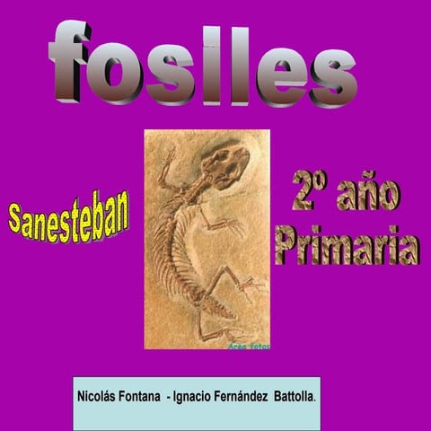 Fosiles | PPT