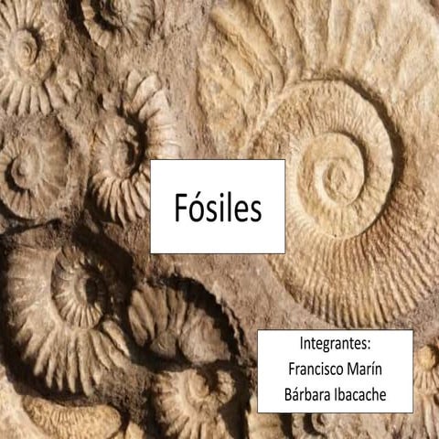 Los Fosiles | PPTX