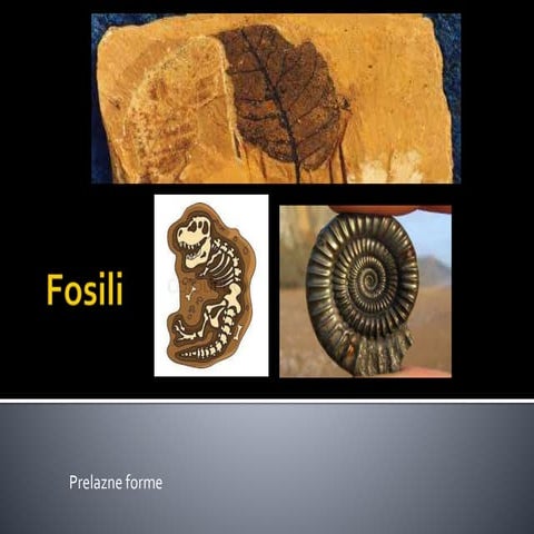 Fosili.pptx