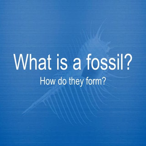 Fossil | PPT