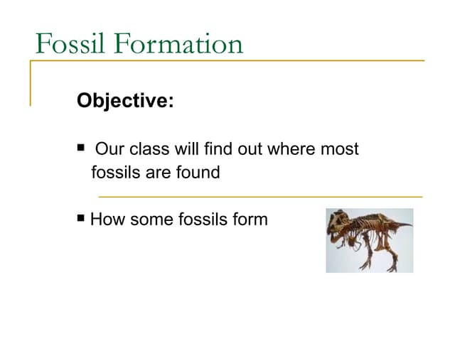 Fossils | PPT | Geology | Science