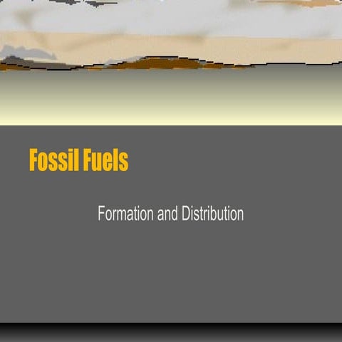 COAL AND OIL FORMATION | PDF