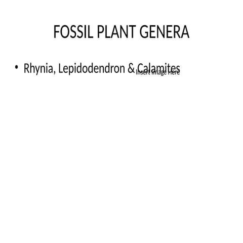 Paleobotany Calamites,Lyginopteris, Pentoxylon, Lepidodendron.pptx