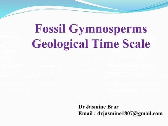 Types of fossils and uses | PPTX | Geology | Science