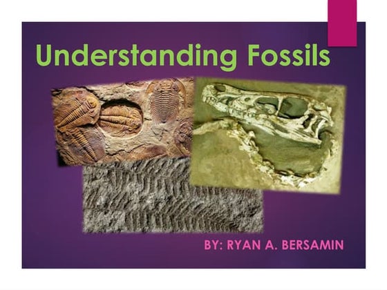 Fossils | PPT