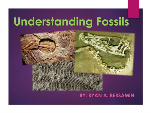 Fossils | PPT