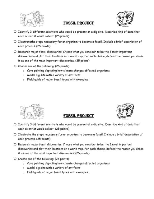 Integers in real world | PPTX