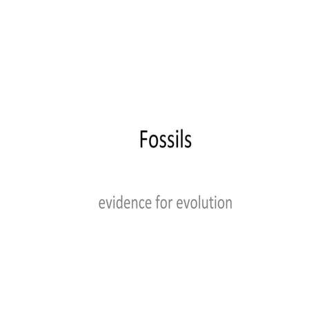Fossils | PPT