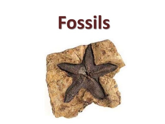 Science fair groups | PPTX