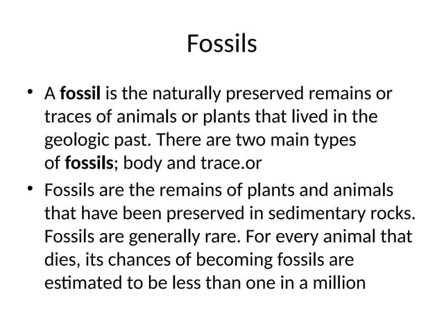 Fossils | PPT