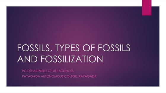 Types of fossils and uses | PPTX | Geology | Science