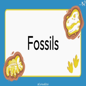 What Are Fossils? Explained for Young Learners | PDF
