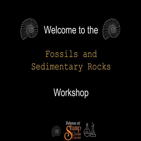 Fossils workshop slides | PPT