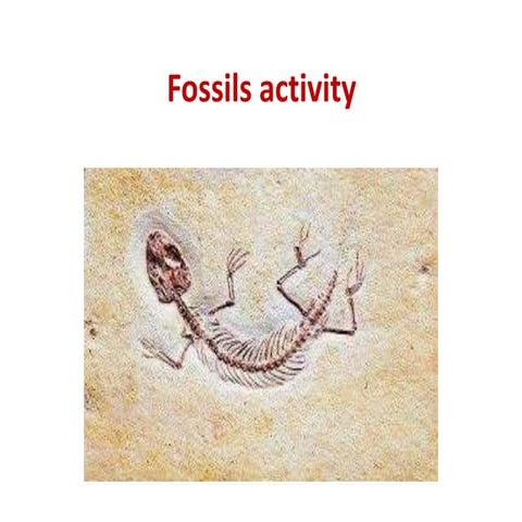 Fossils activity | PPT