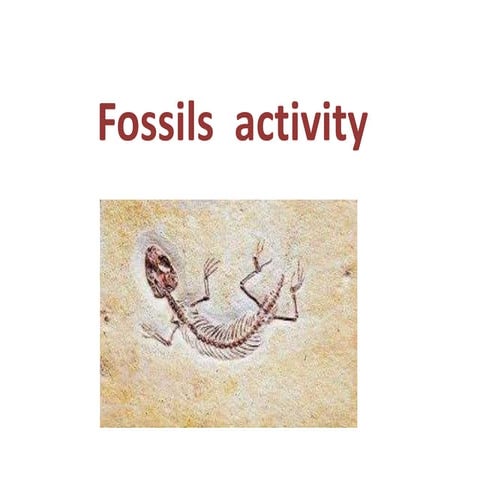 Fossils activity | PPTX