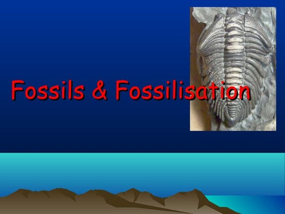 Types of fossils and uses | PPT