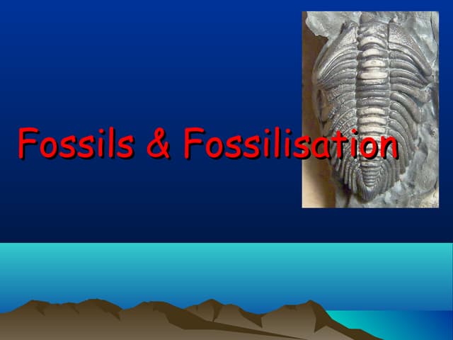 Types of fossils and uses | PPTX