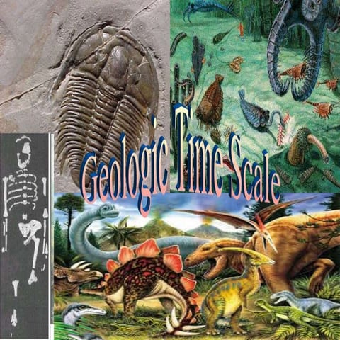 Fossils And Geologic Time Ppt