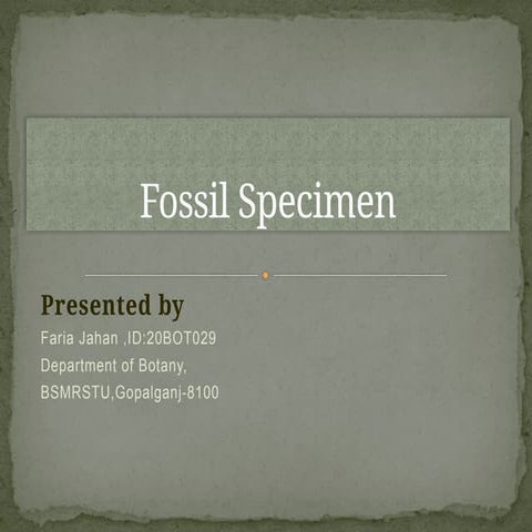 Fossil Evidence of Human Evolution: Lucy, Homo habilis,Taung boy and ...