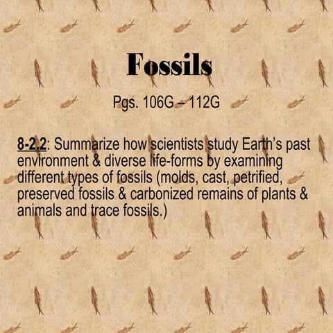Fossils power point | PPT