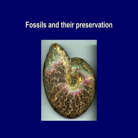 Fossils_processeses favouring preservation.ppt