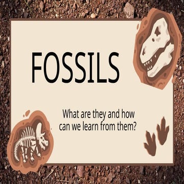 Fossils Quizzes and Questions to ask for review | PPTX