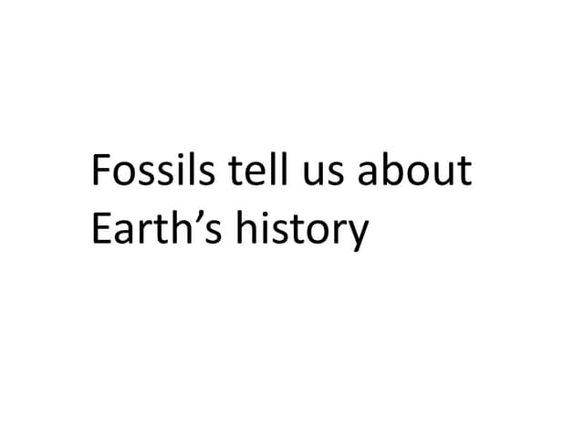 Fossils | PPT