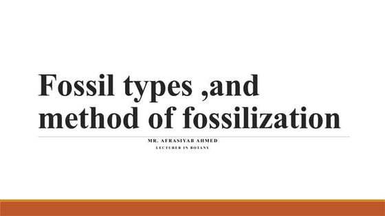 Types of fossils and uses | PPTX | Geology | Science