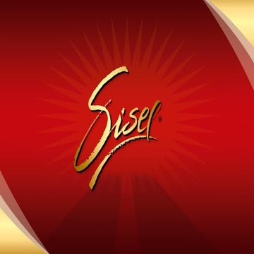 Sisel International - The way to success | PDF