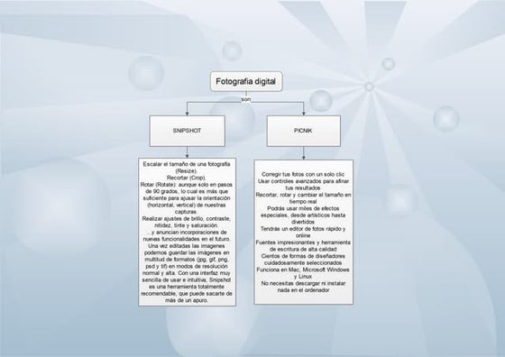 Declan McCabe Reference Letter Tiger Brands | PDF