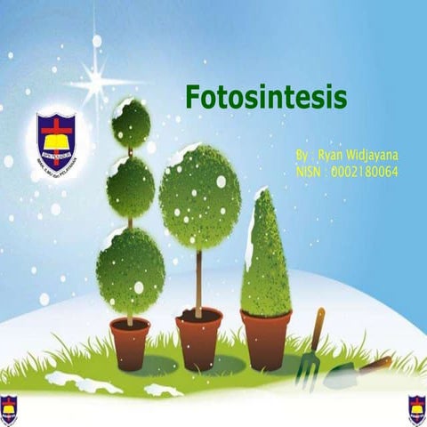Fotosintesis | PPTX