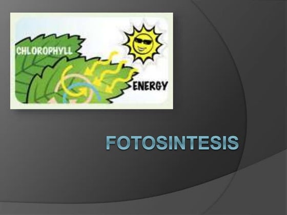 Fotosintesis | PDF