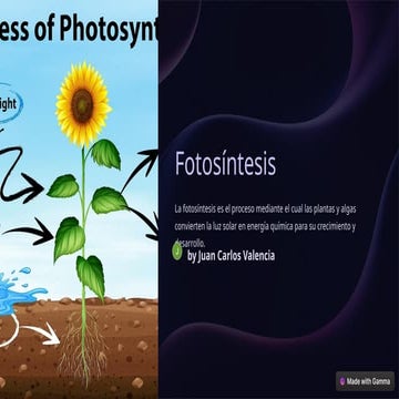 aprendiendo de la Fotosintesis en plantas.pptx
