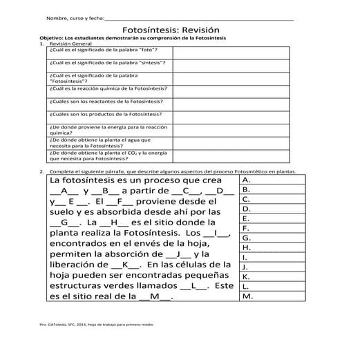 Hoja De Trabajo Práctica De La Fotosíntesis