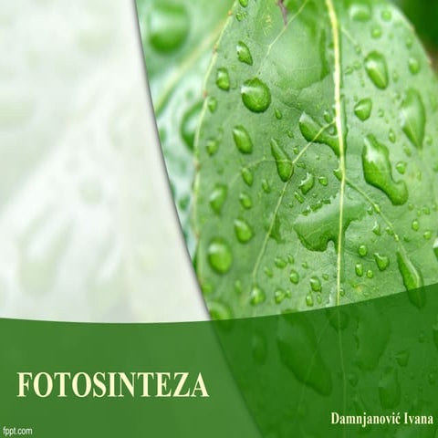 Gradja biljaka | PPTX